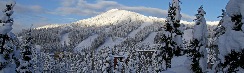 Alpine Village Mount Washington - Ski In Ski Out Accommodation